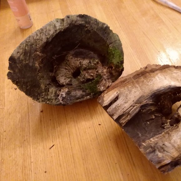 Hand Crafted | Accents | 2 Real Wood Tree Burls Knots Fairy Garden ...